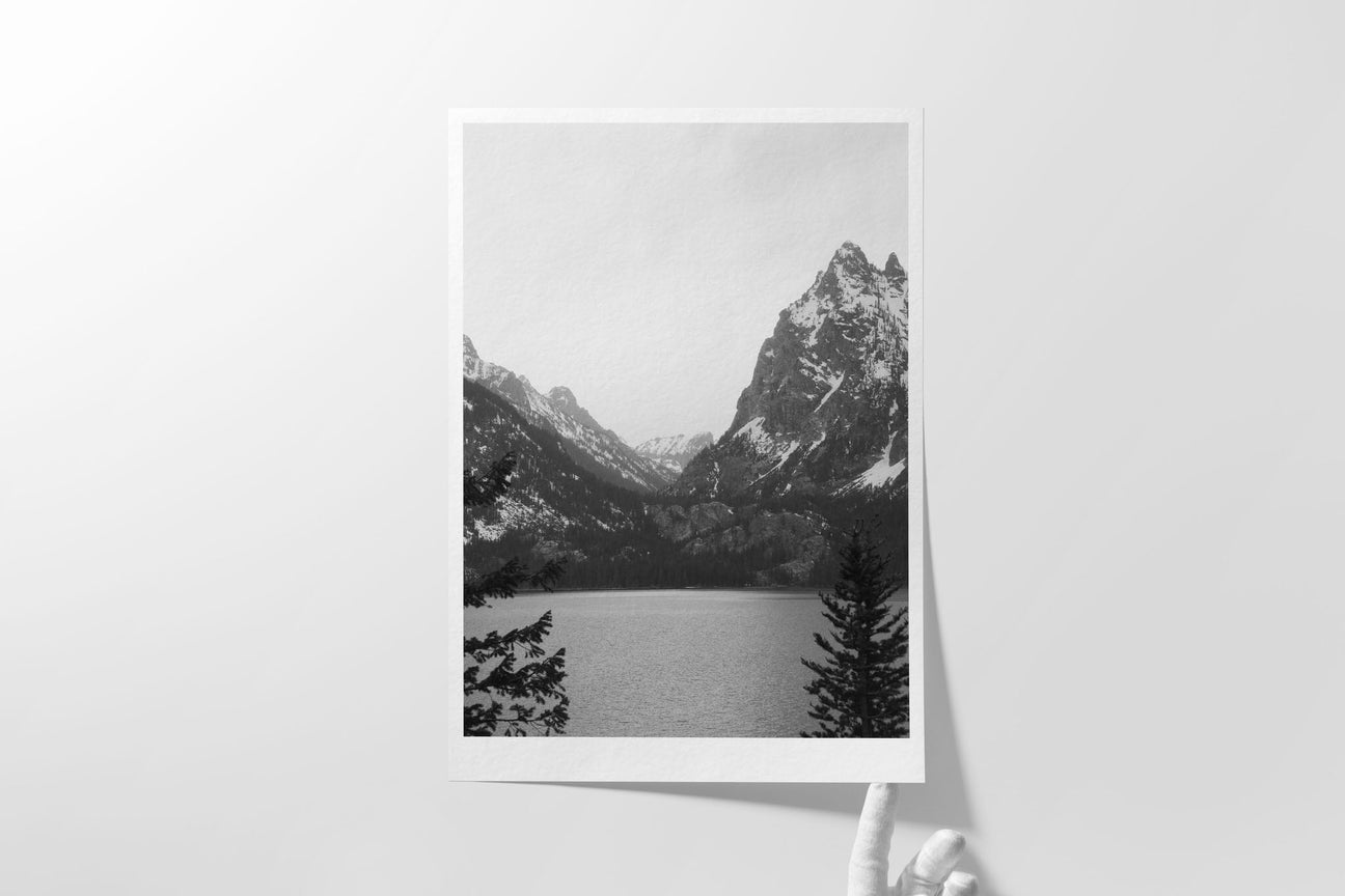 Evergreen and Aspen Fine Art Nature Photography – Evergreen and Aspen ...