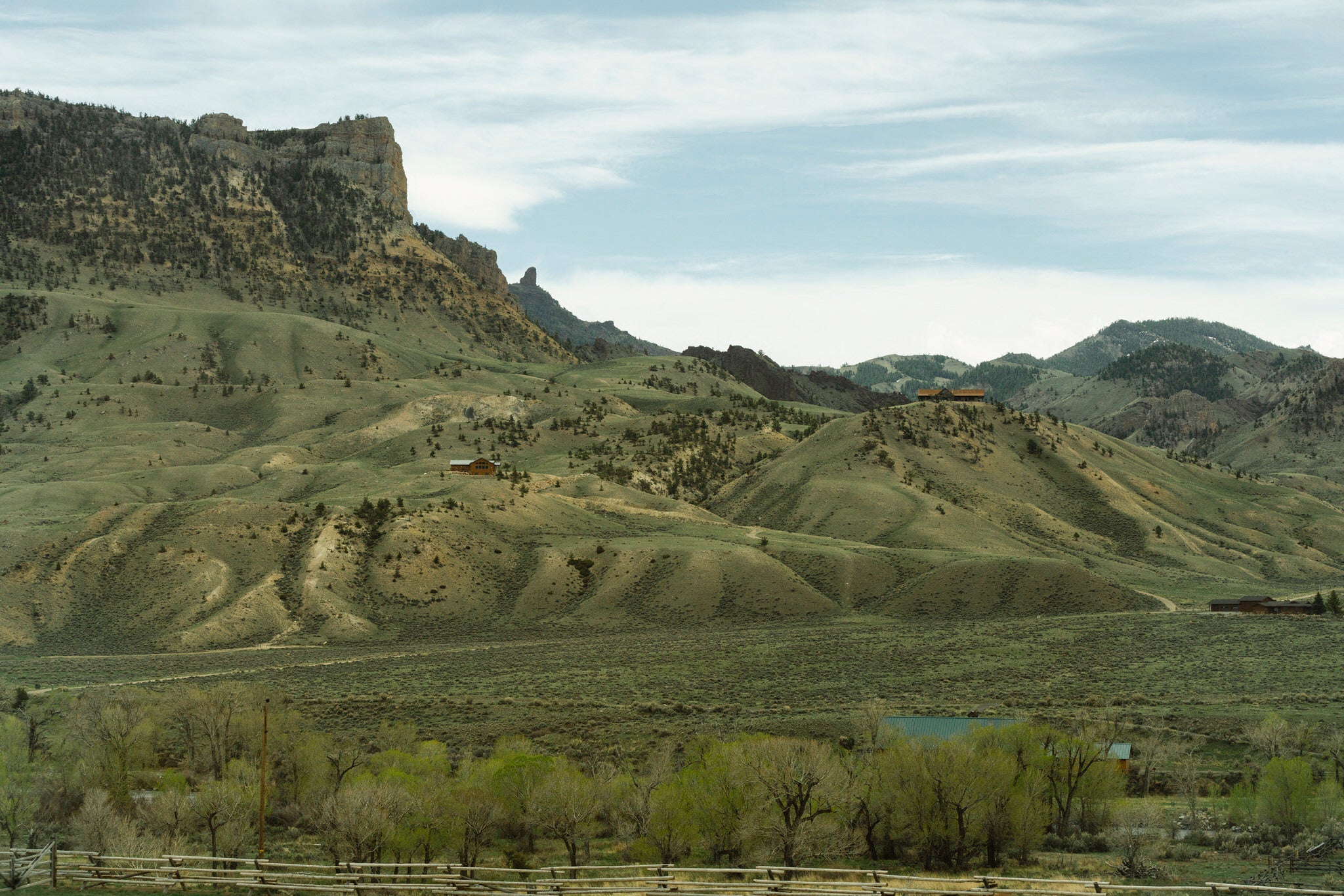 "The Hills are Alive" Photo Print – Evergreen and Aspen Nature Photography